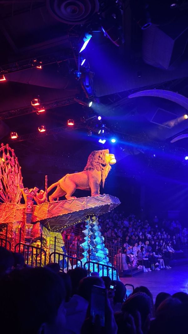 Disney Day 2: Rides, Characters & a Night of Magic – Ashes in the Light