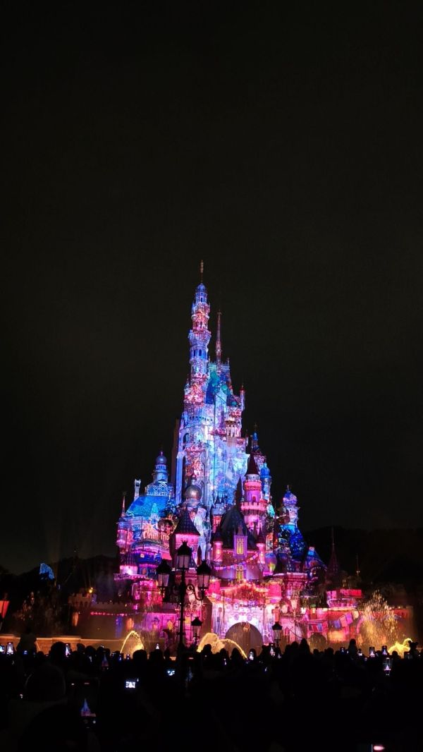 Disney Day 2: Rides, Characters & a Night of Magic – Ashes in the Light